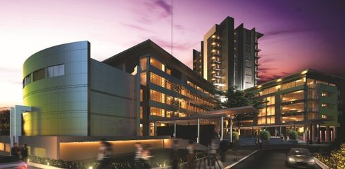 Company News - Guangzhou Willstrong New Material Holding Co., Ltd